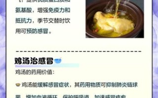 鸡汤的功效与作用_鸡汤的营养价值有哪些