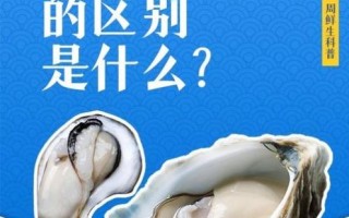 生蚝和牡蛎的区别图片_哪个更营养