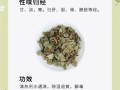 金钱草图片长什么样_金钱草功效与作用有哪些