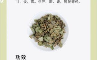 金钱草图片长什么样_金钱草功效与作用有哪些