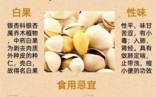 白果怎么吃_白果食用方法大全