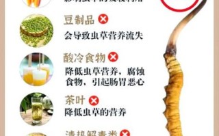冬虫夏草什么人不能吃_禁忌人群有哪些