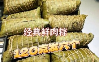 嘉兴肉粽怎么包_正宗嘉兴肉粽配方