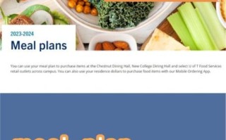 vegetarian_diet_plan_for_beginners