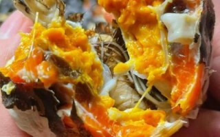 螃蟹怎么煮好吃又简单_清蒸还是水煮