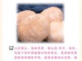 猴头菇能治胃炎吗_猴头菇怎么吃养胃