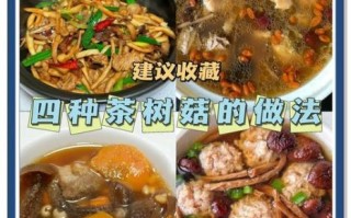 茶树菇的功效与作用_茶树菇怎么吃最好