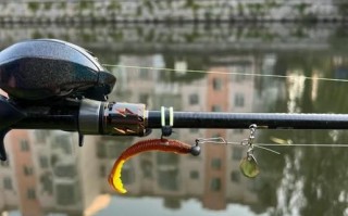 鲈鱼怎么钓_鲈鱼用什么饵