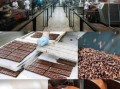 巧克力怎么做_可可豆到巧克力的全过程
