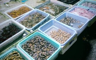 中国十大海鲜批发市场在哪里_进货怎么选