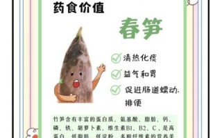 竹笋的功效与作用_竹笋怎么吃最健康