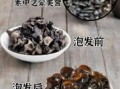 黑木耳的营养价值_黑木耳可以天天吃吗