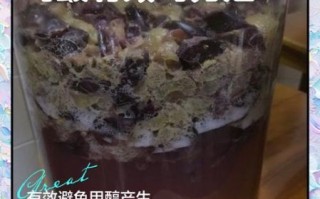 自酿葡萄酒怎么去除甲醇_甲醇超标怎么办
