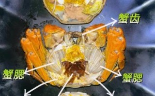 螃蟹哪些部位不能吃_螃蟹不能吃的部位图片