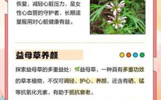 女性长期喝益母草对身体好吗_益母草长期饮用的副作用