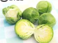 抱子甘蓝多少钱一斤_抱子甘蓝价格行情