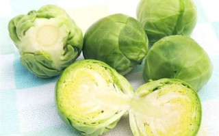抱子甘蓝多少钱一斤_抱子甘蓝价格行情