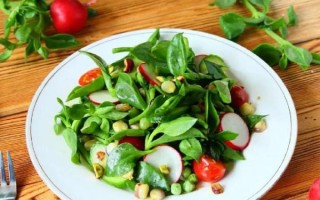 新鲜穿心莲怎么吃最好_新鲜穿心莲凉拌还是炒