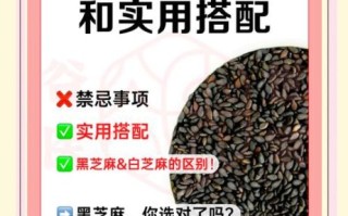 黑芝麻哪些人不能吃_黑芝麻禁忌人群