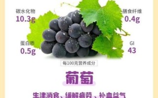葡萄的营养价值及功效与作用_吃葡萄有哪些好处