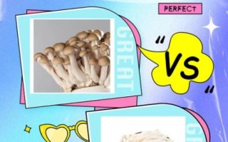 蟹味菇和白玉菇的区别_哪个更好吃