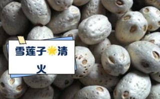 雪莲子图片大全_雪莲子长什么样