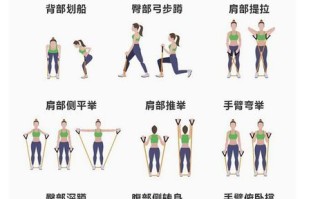 有弹性是什么意思_如何训练身体弹性