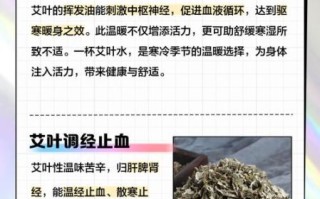 长期喝艾叶水可以吗_艾叶水每天喝多少合适