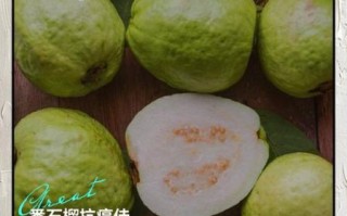 芭乐番石榴的功效与作用_怎么吃最营养