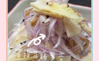 马蹄笋怎么做好吃_马蹄笋的做法大全