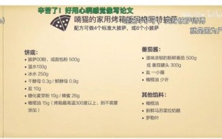 做披萨用什么面粉_披萨面粉怎么选