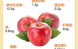苹果的营养价值_吃苹果能减肥吗