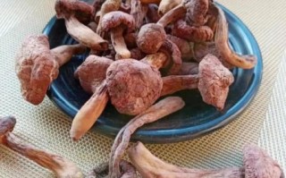 东北红蘑菇多少钱一斤_东北红蘑菇怎么做好吃