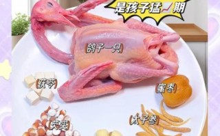 鸽子汤怎么炖好喝_鸽子汤的做法步骤