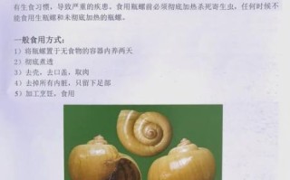 螺品种大全_淡水螺和海水螺有哪些