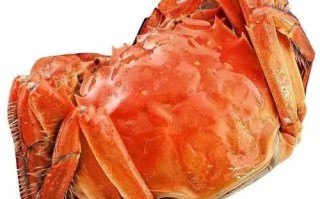 盘锦河蟹哪里最正宗_盘锦河蟹最正宗产地