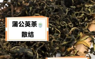 蒲公英能治什么病_蒲公英泡水喝的禁忌