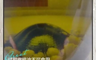 橄榄油过期了还能吃吗_过期橄榄油用途