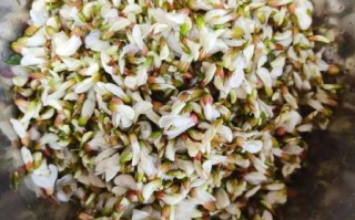 槐花饺子馅怎么做好吃_槐花饺子馅调馅技巧