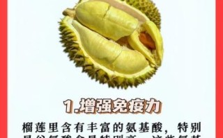 女人吃榴莲有什么好处_女人吃榴莲会发胖吗