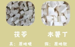 土茯苓和茯苓的区别_土茯苓和茯苓的功效一样吗