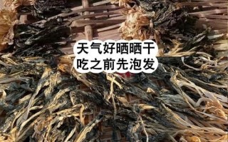 雪里红梅干菜怎么做_雪里红梅干菜保存多久