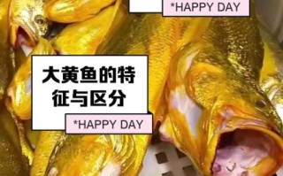 小黄花鱼是海鱼吗_小黄花鱼淡水还是海水