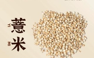 长期吃薏米的坏处_薏米吃多了有什么副作用 长期吃薏米的坏处_薏米吃多了有什么副作用