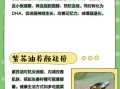 紫苏油可以炒菜吗_紫苏油高温炒菜安全吗