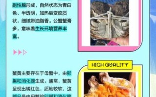 蟹膏的功效与作用_蟹膏的营养价值有哪些