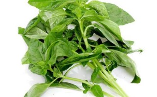 新鲜罗勒叶怎么吃_罗勒叶的做法大全