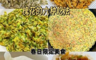 槐树花怎么吃_槐树花食用禁忌
