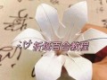 百合花怎么折_折纸百合花步骤