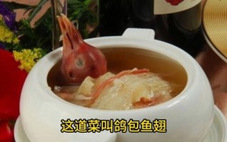 鸽子鱼翅怎么炖才好吃_鸽子鱼翅的做法大全